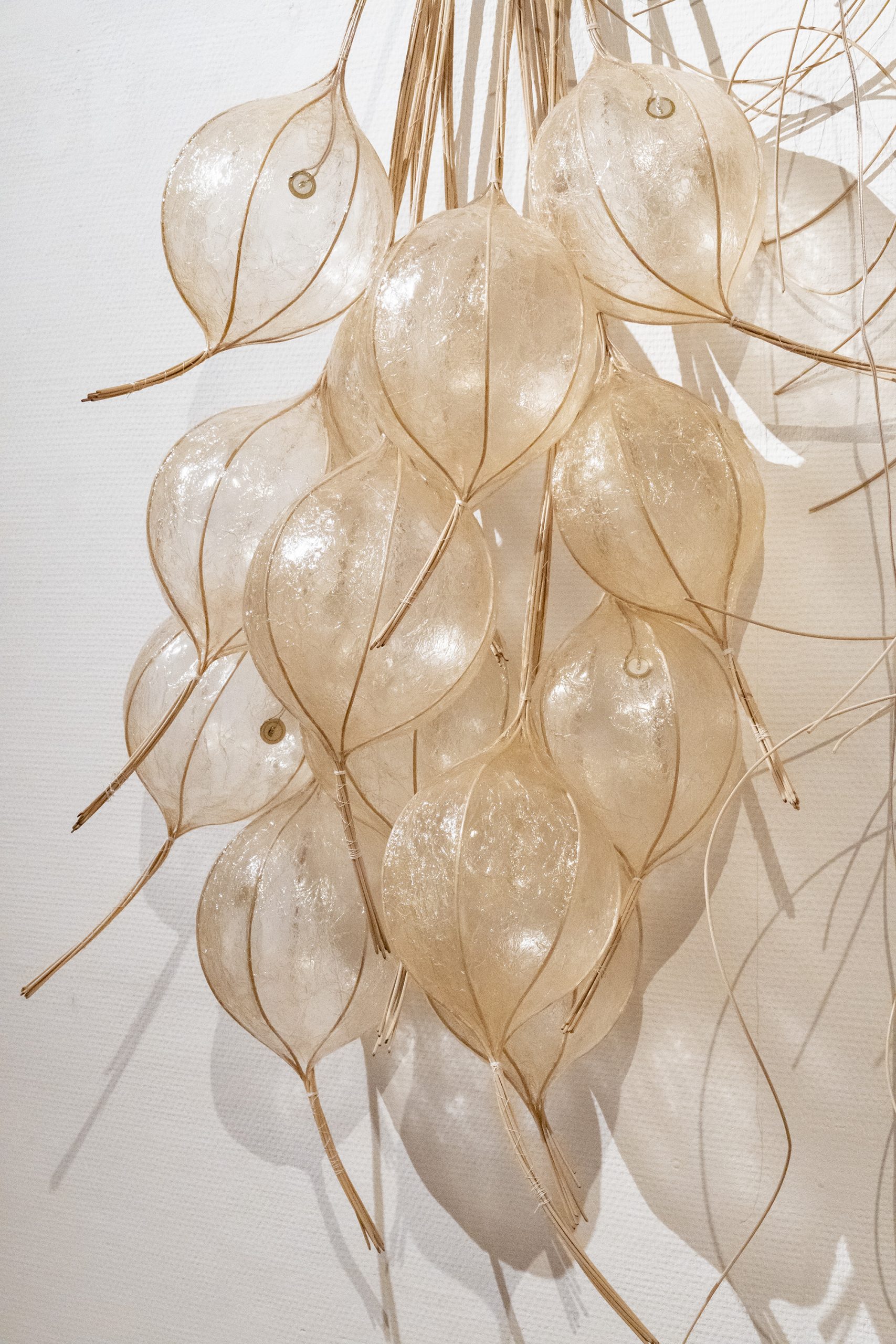 Fromberg Daniela - VdBK1867