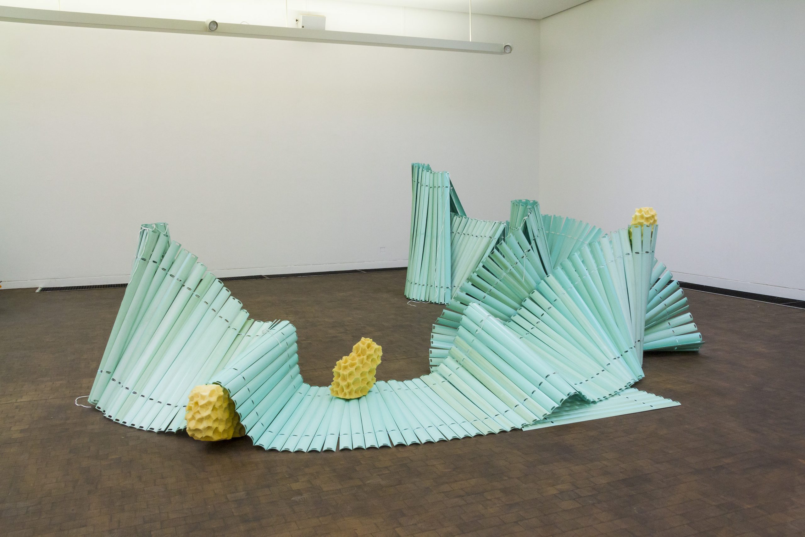 Fromberg Daniela - VdBK1867