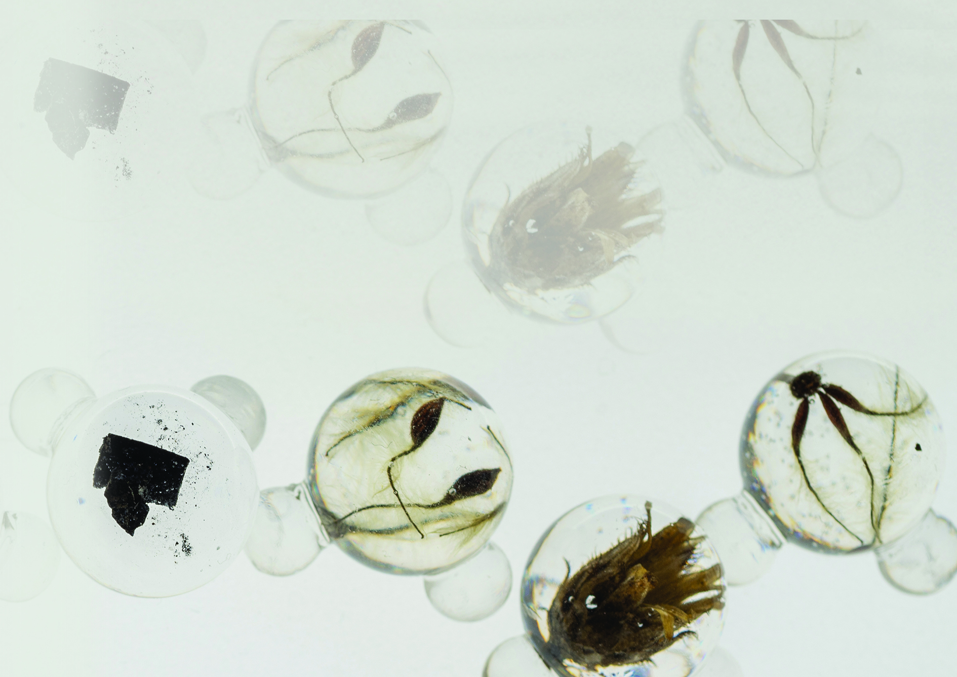 A Temporary Dream of Mirrors - VdBK1867